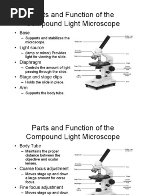 Microscope Diagram And Functions
