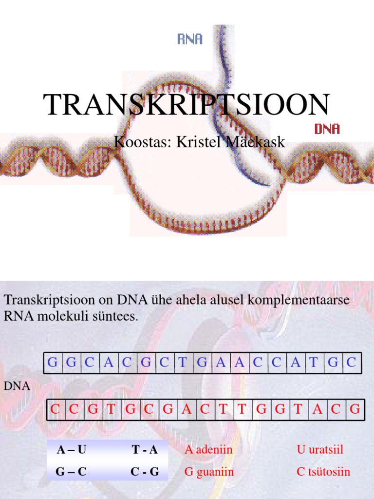 Transkriptsioon | PDF