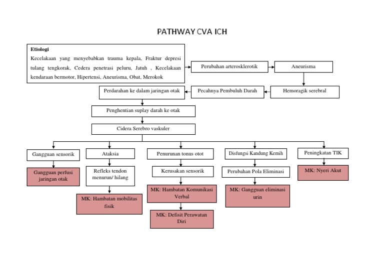 Pathway Cva Ich 1 | PDF