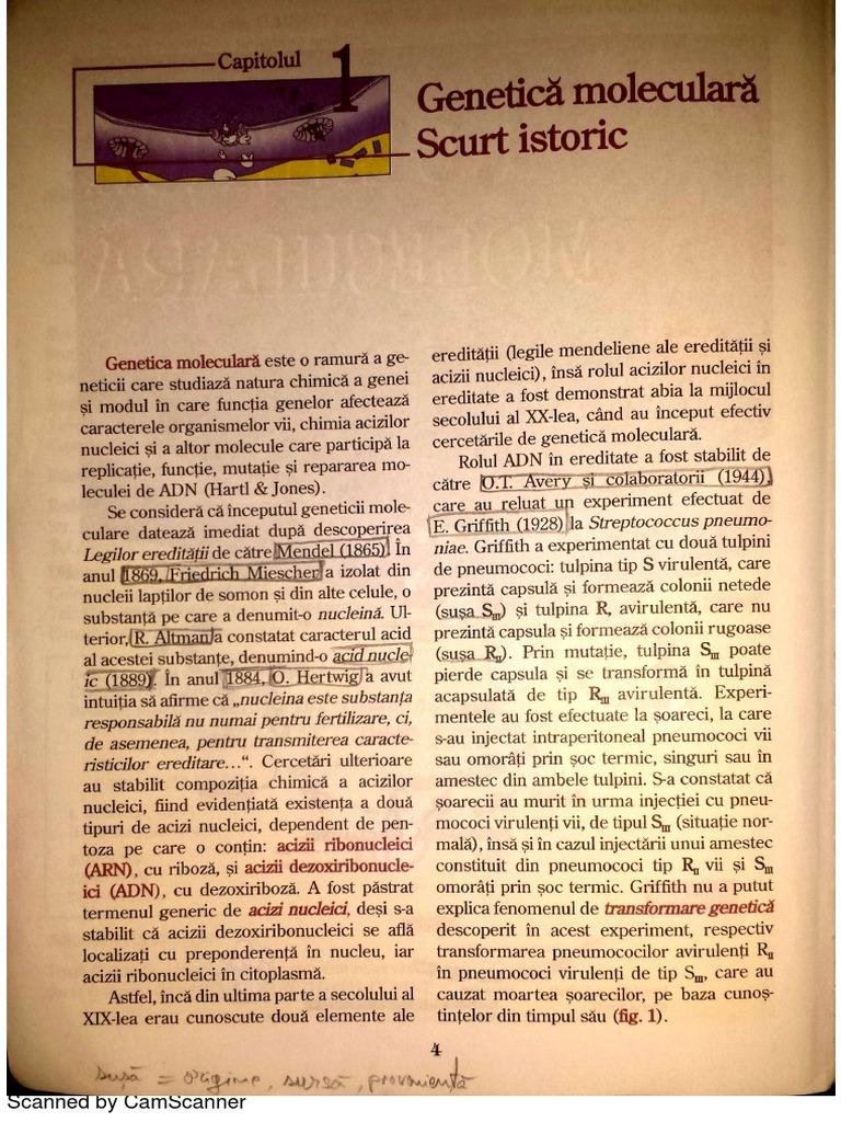 Manual Biologie Clasa A 12 A Corint PDF | PDF