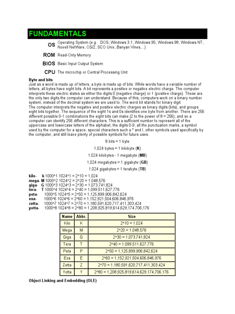 Fundamentals: OS ROM Bios CPU | PDF | Byte | Bit