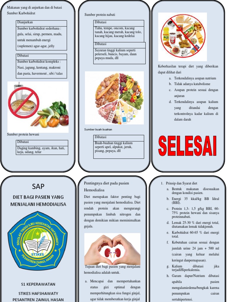 Sap Diet | PDF
