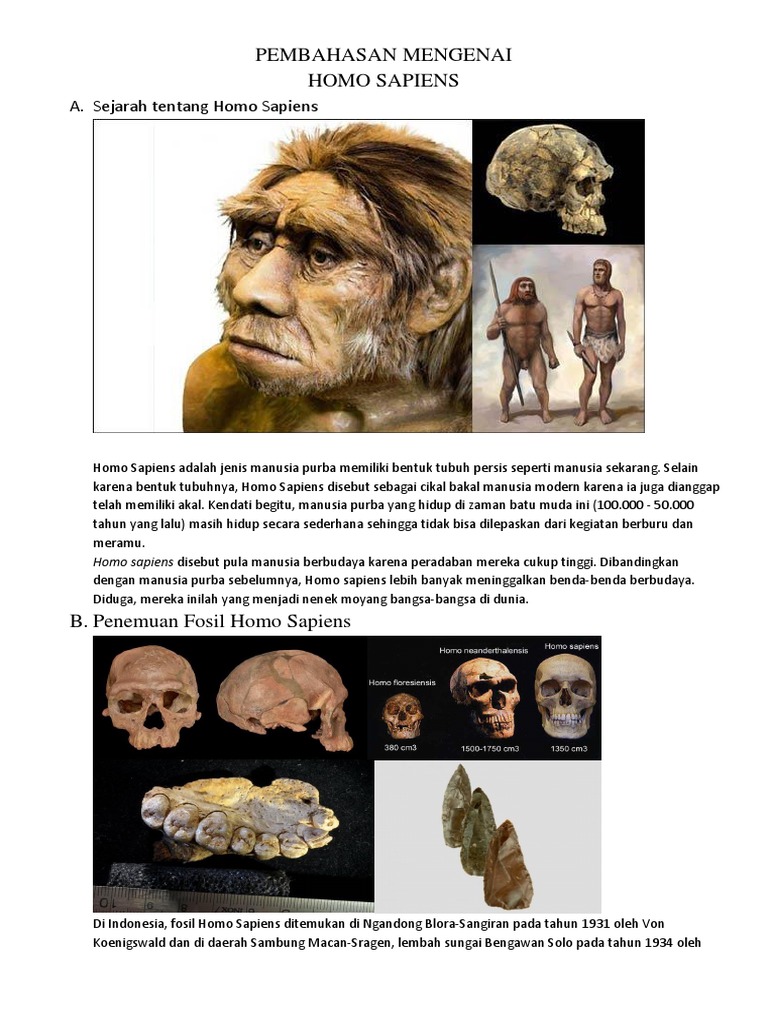 Pembahasan Mengenai Homo Sapiens Tugas Kelompok Sejarah | PDF | Ilmu ...