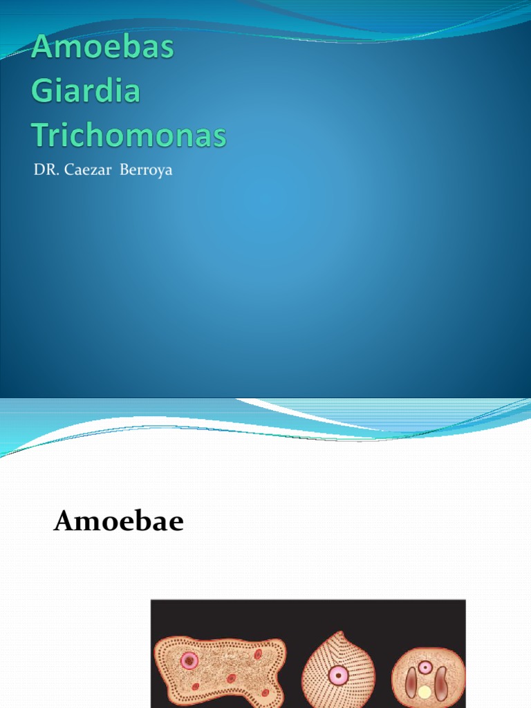 Overview of Entamoeba Histolytica | PDF | Diseases And Disorders ...