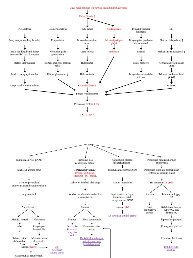 CKD Pathway | PDF