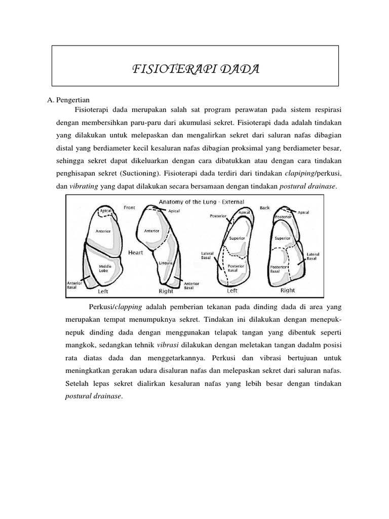 Fisioterapi Dada: Teknik dan Manfaat | PDF | Karier & Perkembangan ...