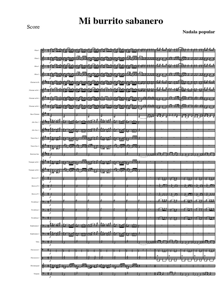 Mi Burrito Sabanero | PDF | Aerófonos | Instrumentos musicales