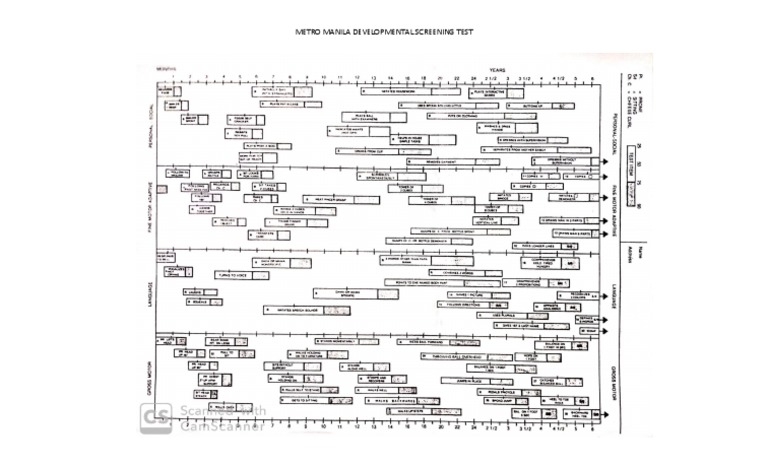 Metro Manila Developmental Screening Test