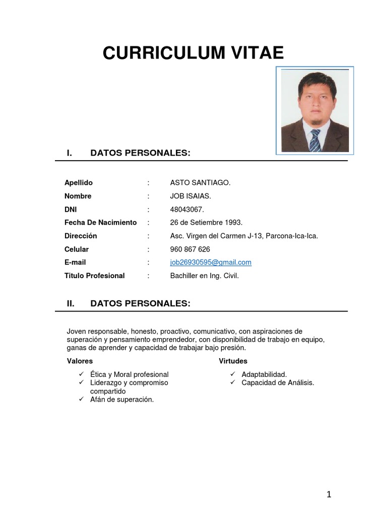 CURRICULUM VITAE Job Oficial | PDF | Ingeniería | Aprendizaje