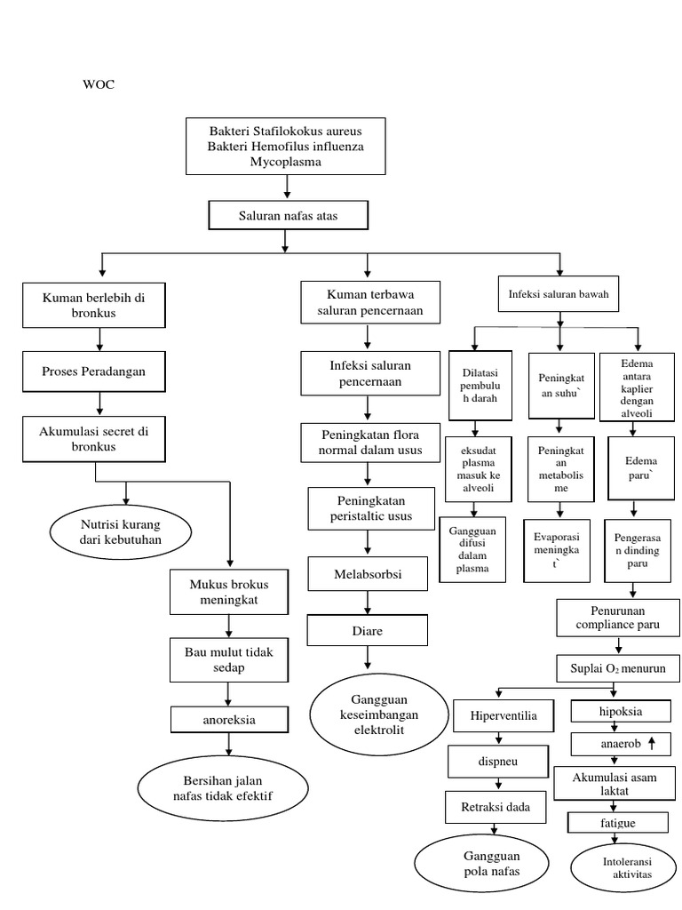 WOC Bronkopneumonia | PDF