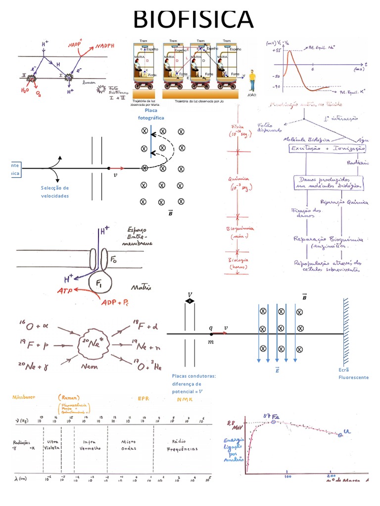Biofísica (Sebenta FCUP) PDF | PDF | Átomos | Oxigênio
