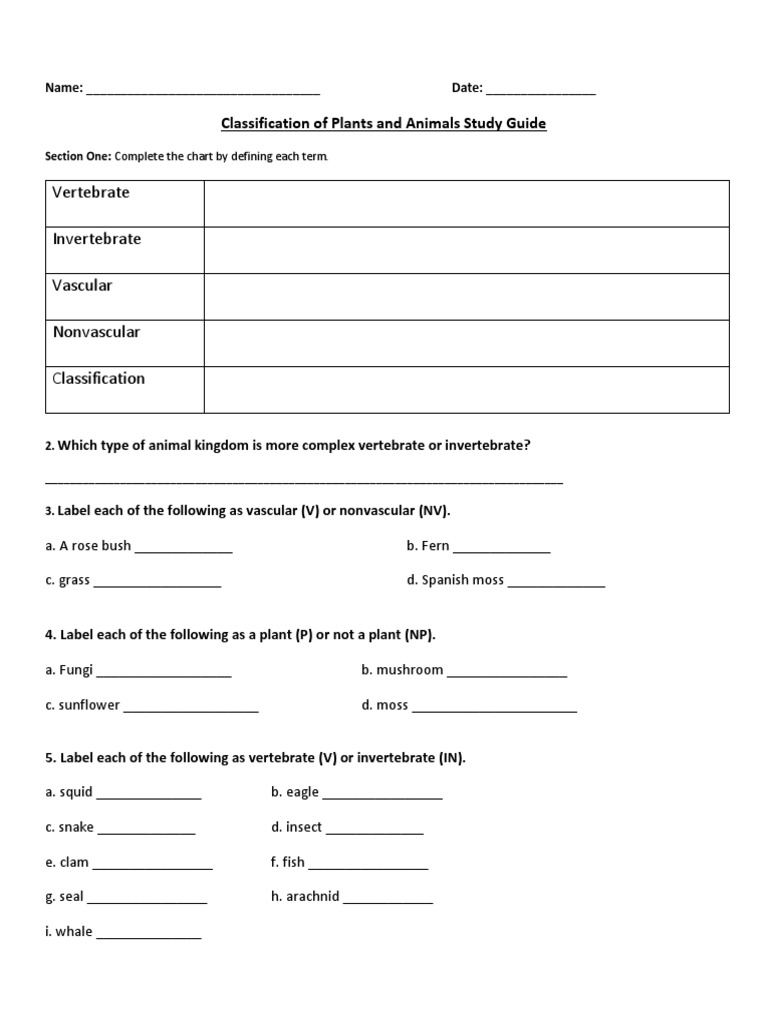 Classification Study Guide Pdf