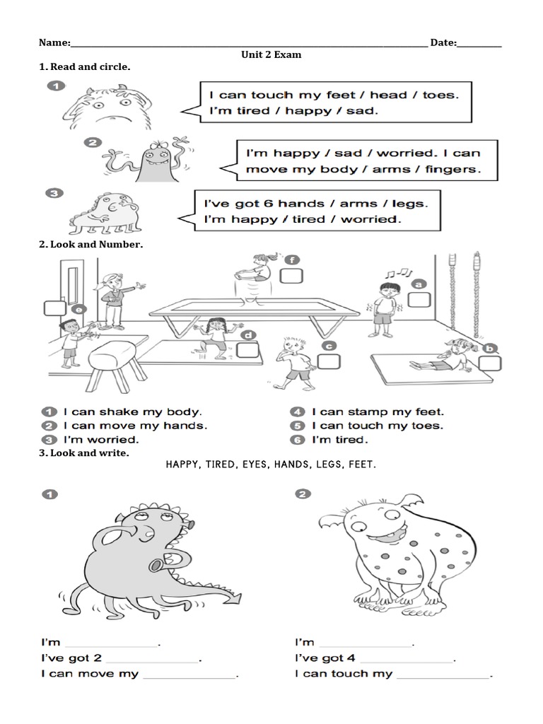 Body Parts Exam for Grade 1 | PDF