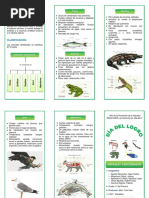 Infografía Artropodos | PDF | Western Honey Bee | Insectos