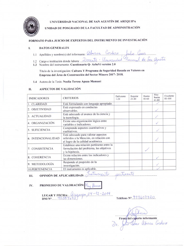 JUICIO DE EXPERTO - Formato | PDF