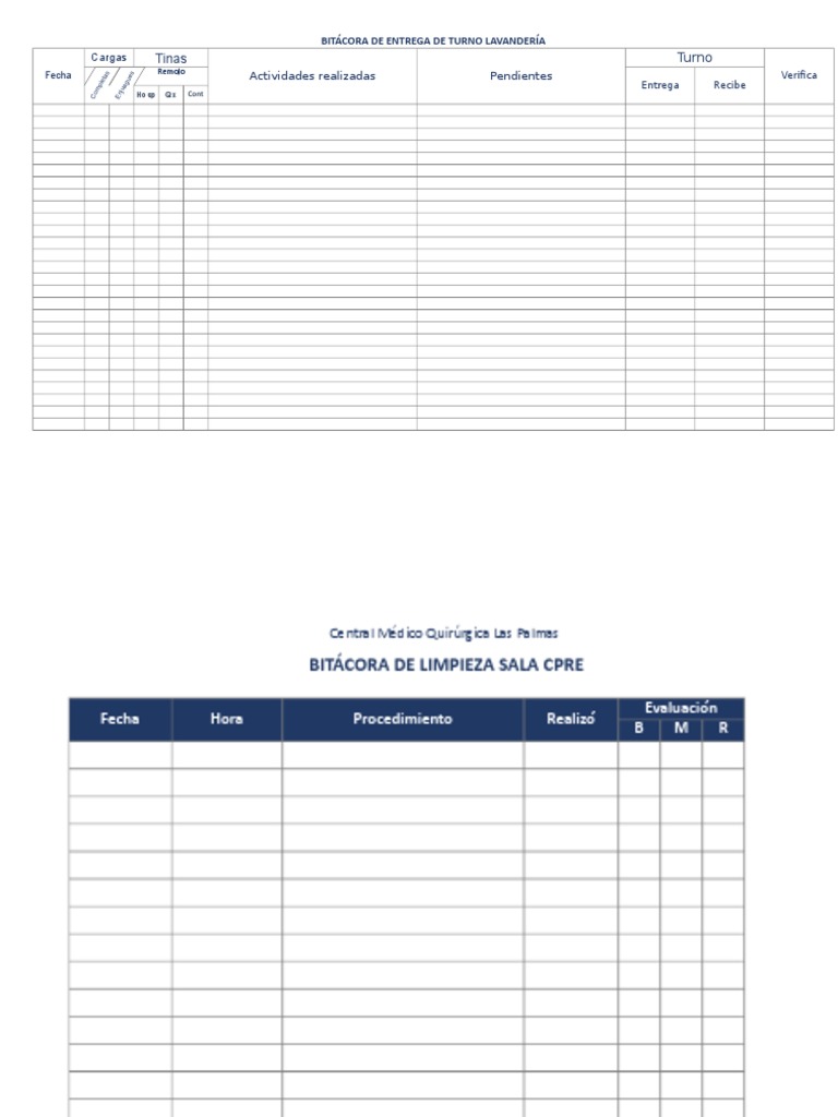 Formatos de Control Intendencia... | PDF | Medicina | Medicina CLINICA