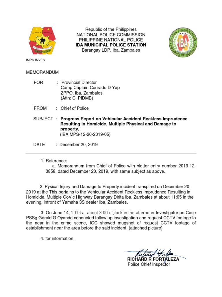 Progress Report On RIR hOMICIDE | PDF