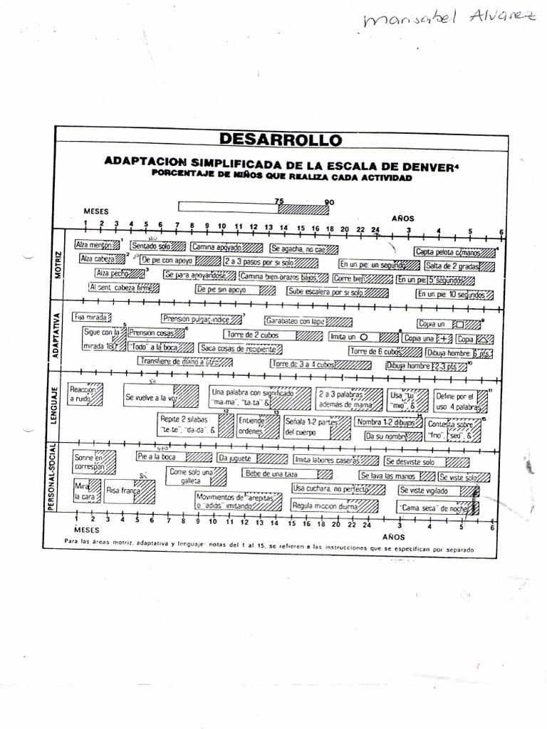 Escala de Denver | PDF