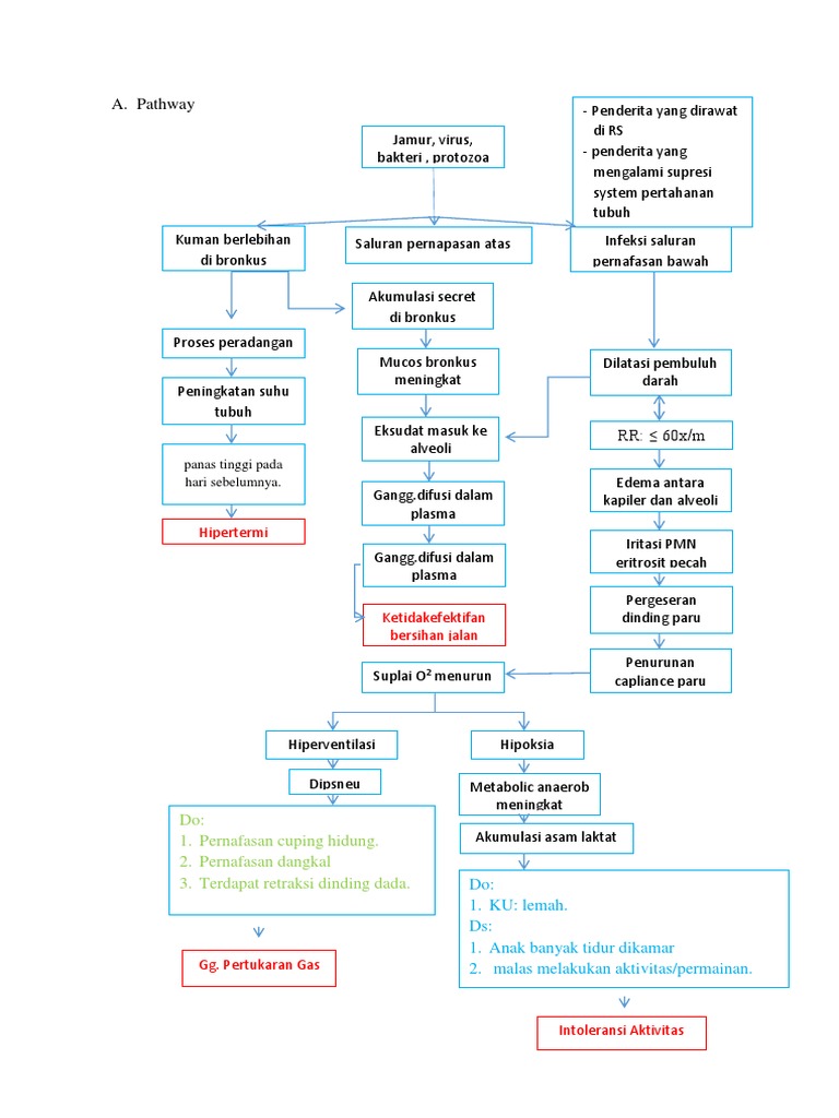 Penanganan Pneumonia pada Anak | PDF
