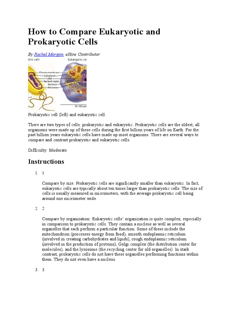 How To Compare Eukaryotic and Prokaryotic Cells | PDF | Cell (Biology ...
