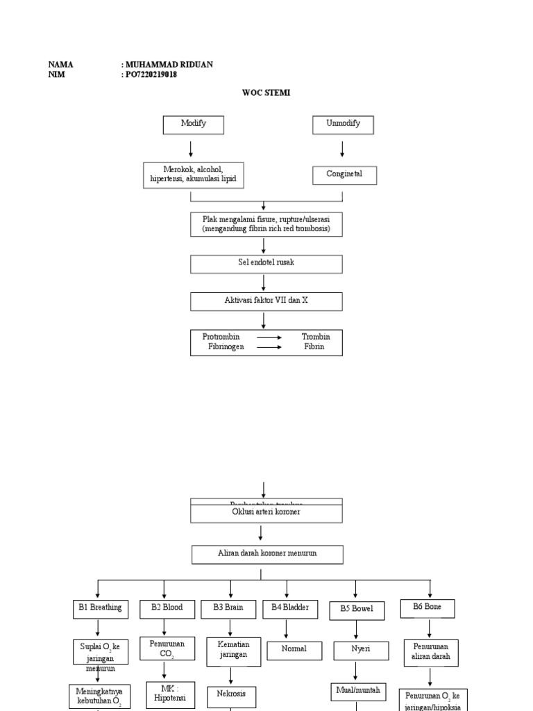 Pathway WOC STEMI dan Dampaknya | PDF