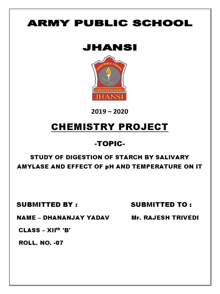 Chem Project On Digestion of Starch by Saliva | PDF | Saliva | Digestion