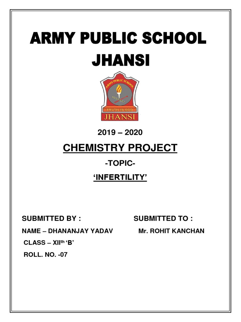 Class 12 Project on Infertility | PDF | Infertility | In Vitro ...