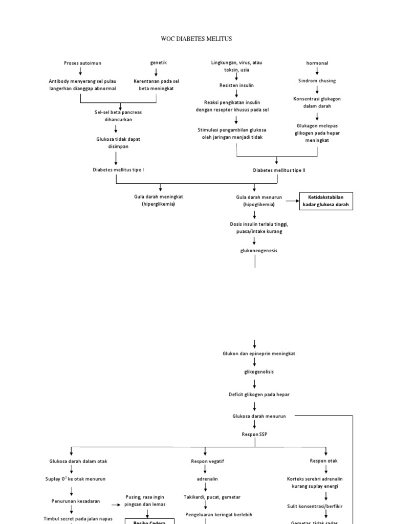 Woc Diabetes Melitus 1-40 Yang Benar | PDF