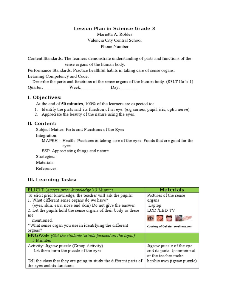 7es Lesson Plan ISO | PDF | Human Eye | Eye