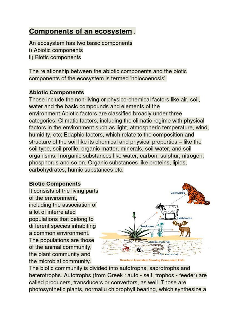 Components of An Ecosystem | PDF | Ecosystem | Ecology