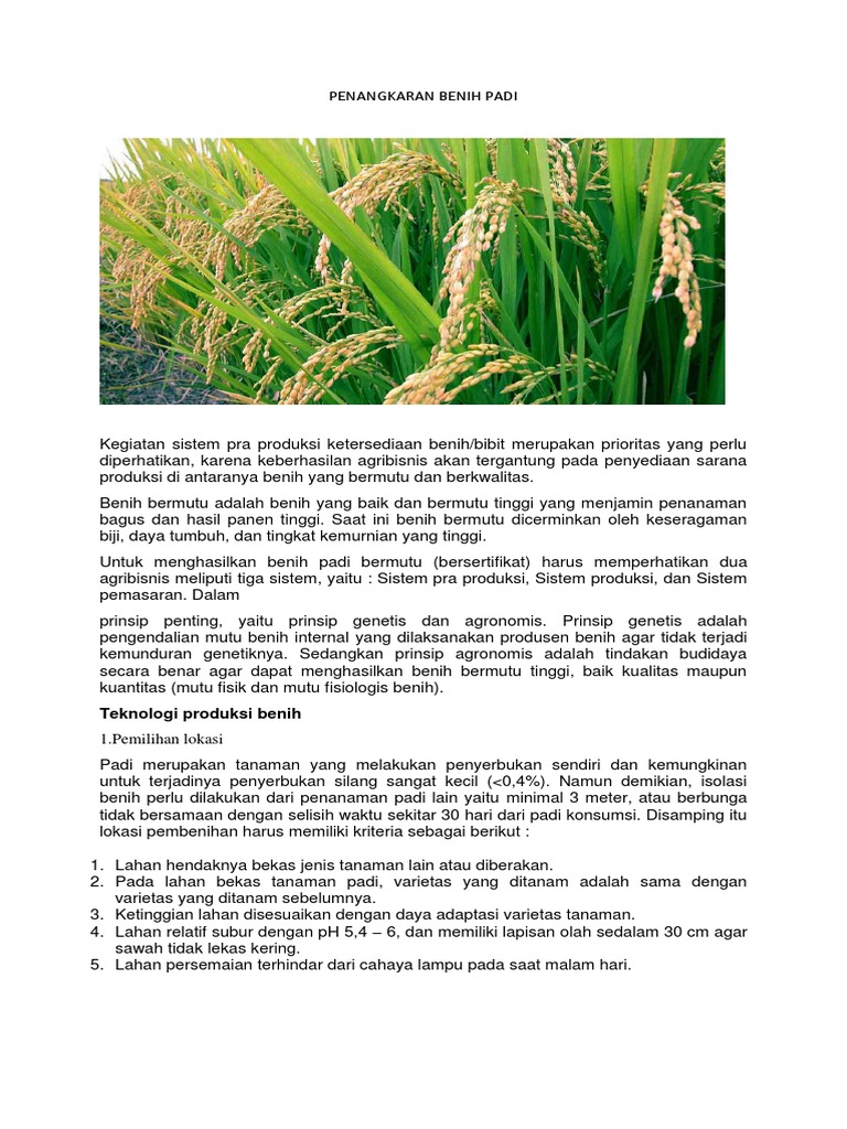 Penangkaran Benih | PDF