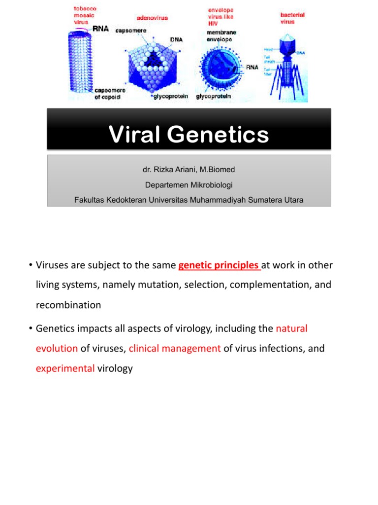 Viral Genetics: Fundamental Concepts and Mechanisms of Mutation | PDF | Nucleic Acid Sequence ...