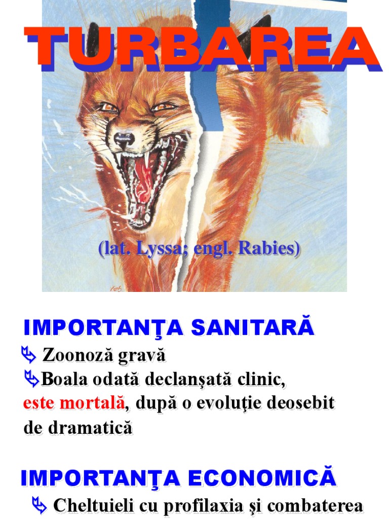 Turbarea | PDF