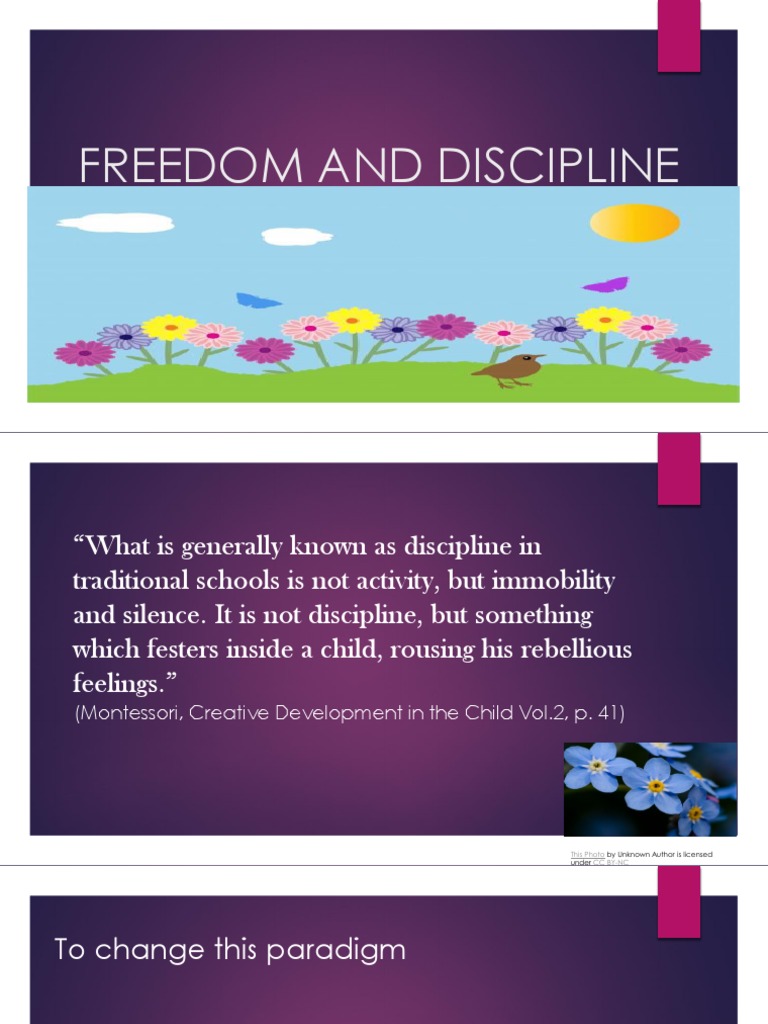 Balancing Freedom and Discipline in Education | PDF | Montessori ...