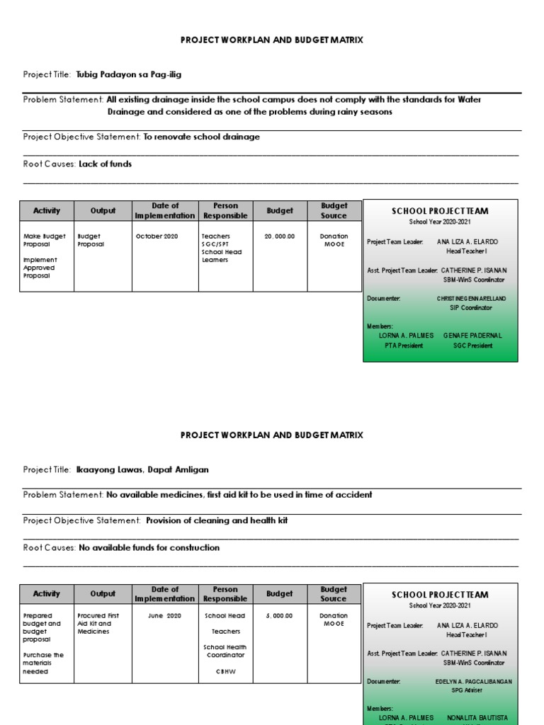 Project Workplan and Budget Matrix | PDF | Health Sciences | Public Health