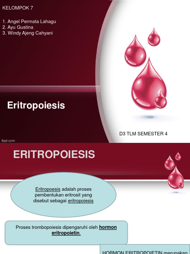 Eritropoesis Hema | PDF