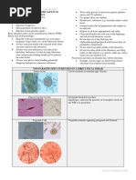 Microbiology Mnemonics by Sandra | PDF | Pneumonia | Bacillus
