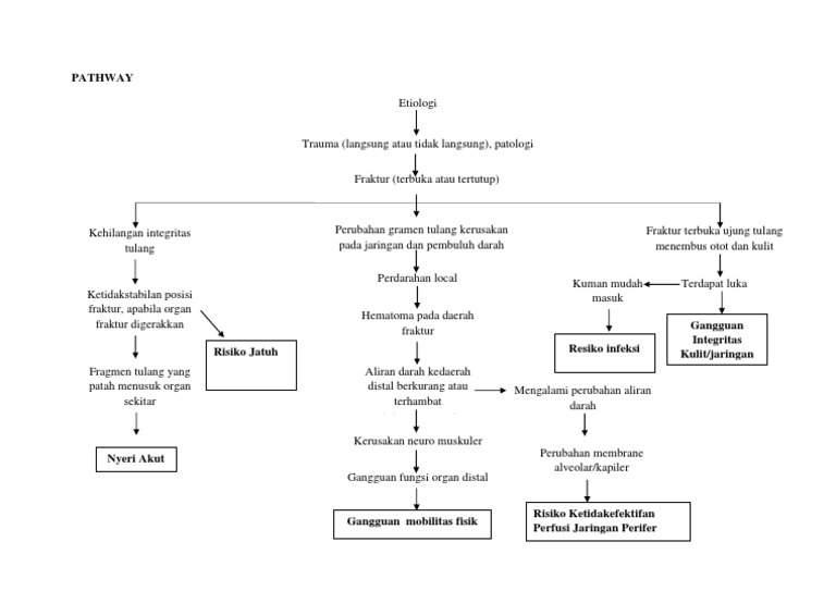 PATHWAY Fraktur | PDF