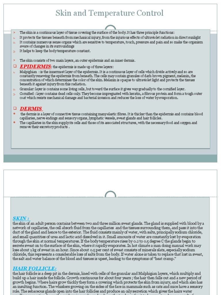 Skin and Temperature Control | PDF | Skin | Epidermis