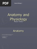 The Skeletal System - Skeleton - Living Organisms - KS3 Biology - BBC ...