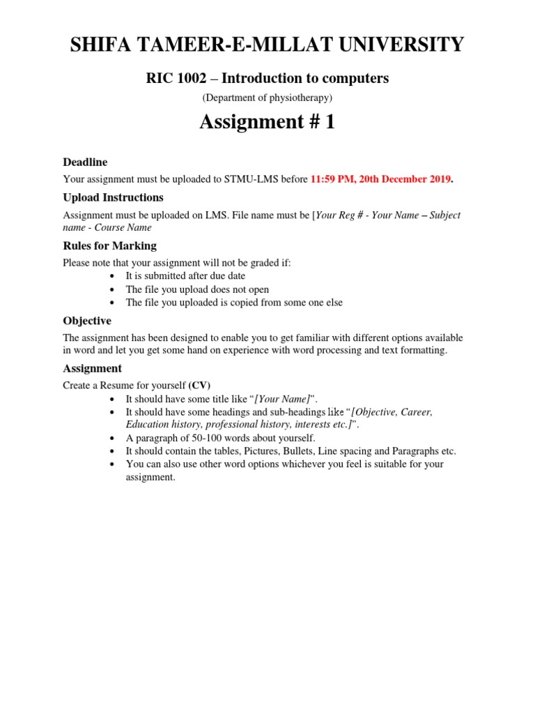 Intro to Computers: CV Assignment | PDF