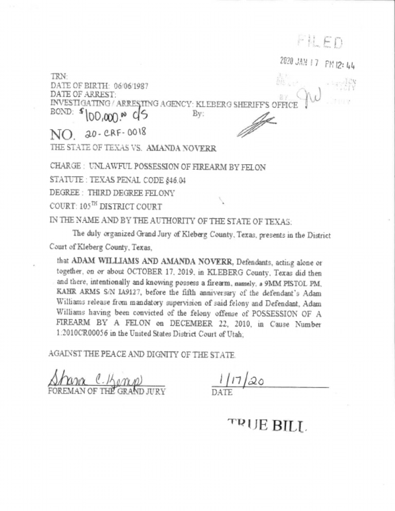 Amanda Noverr Unlawful Possession | PDF