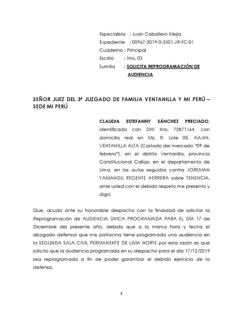 Reprogramacion de Audiencia Modelo | PDF