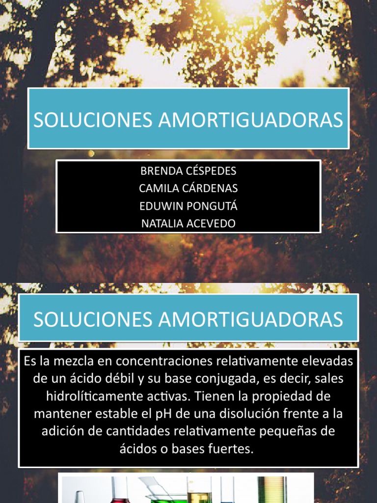 Soluciones Amortiguadoras y pH | PDF | Solución tampón | Ph
