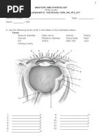 Human A&P 2 final exam study guide | PDF | Heart | Vein
