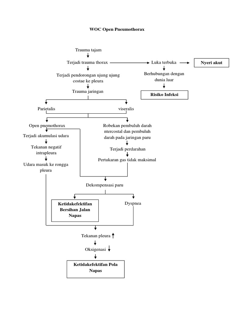 WOC Open Pneumothorax | PDF