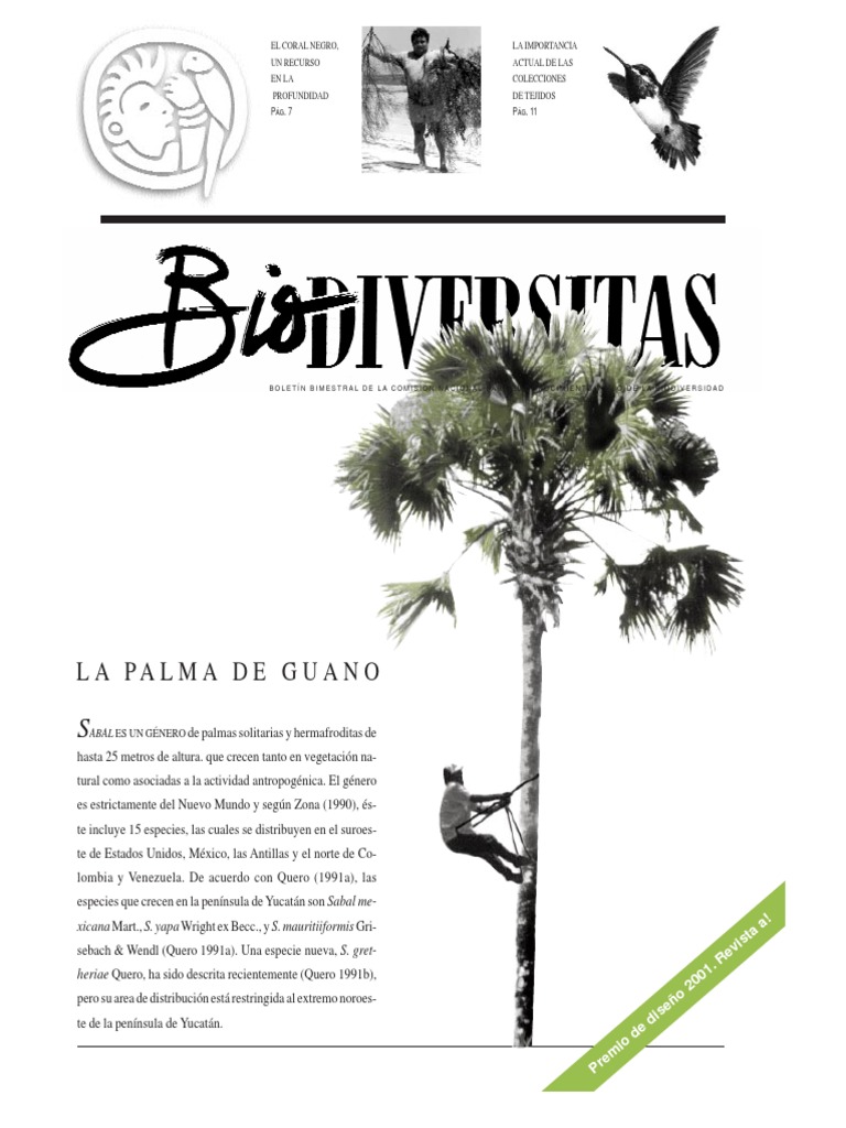 Palma de Guano | PDF | Civilización maya | Agricultura