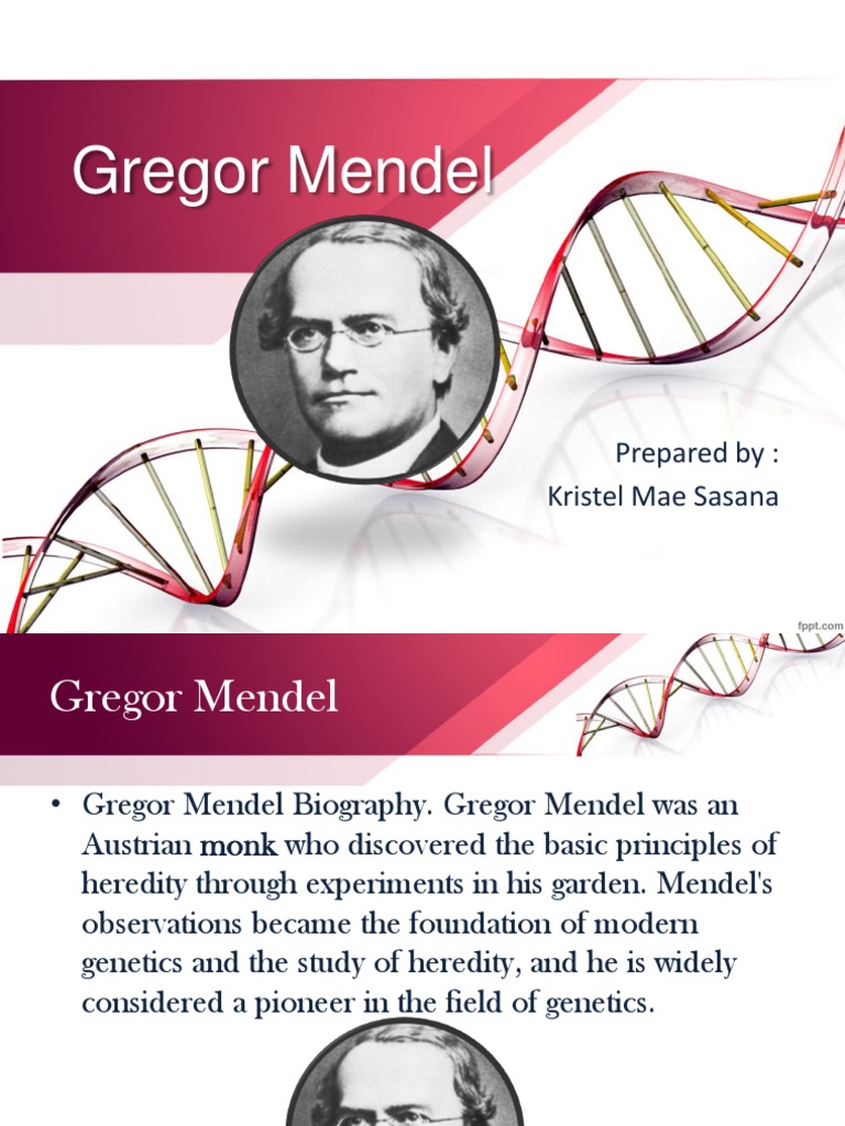 Gregor Mendel | PDF | Dominance (Genetics) | Heredity