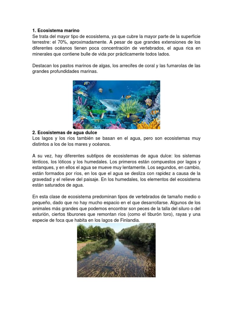 Tipos de Ecosistemas | PDF | Ecosistema | Arboles