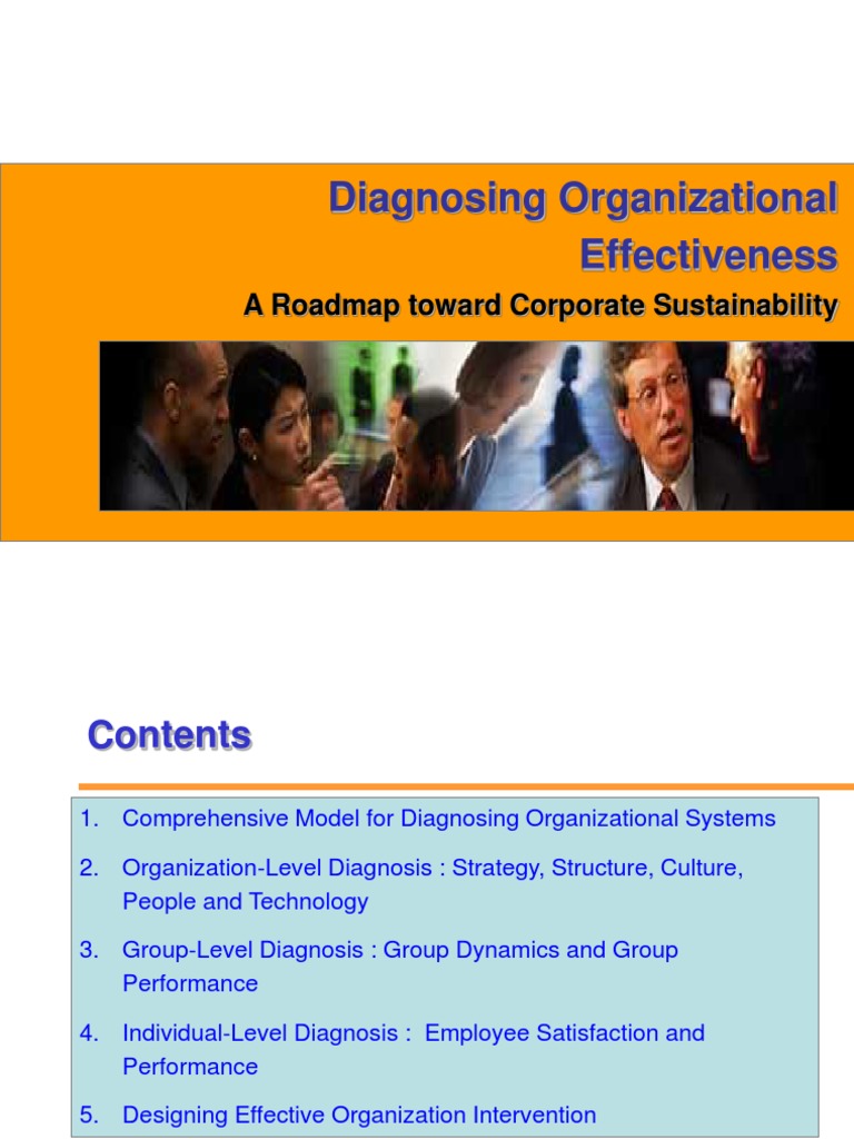 Diagnosing Organizational Effectiveness | PDF | Organization ...